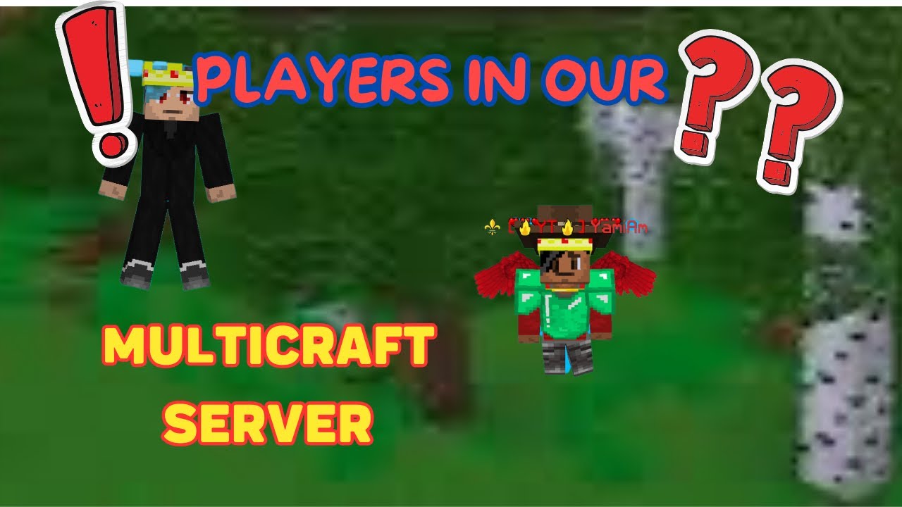 PLAYERS IN OUR MULTICRAFT SERVER | YamiAm & Mountain,Funny stories - YouTube