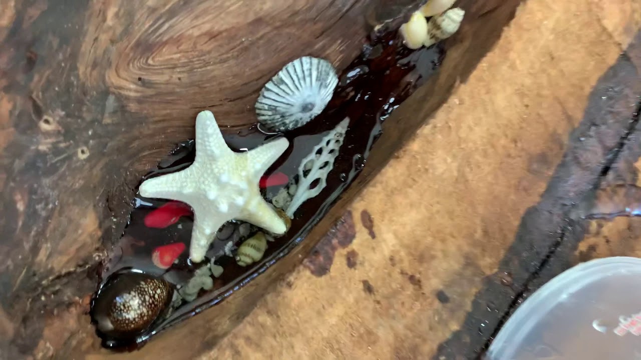 DIY Epoxy Resin Tide pool - YouTube