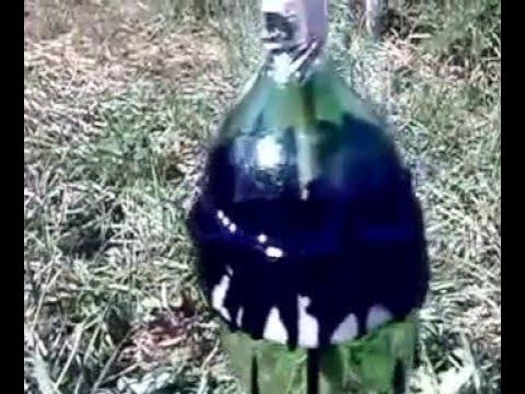 Стоп МУРАВЕЙ! Ну, погоди!... Часть 1. - YouTube