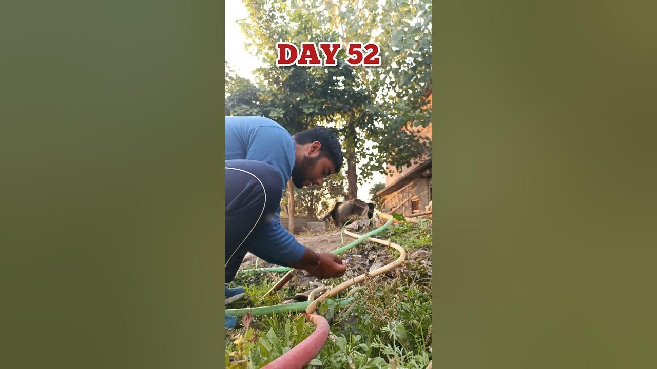 Day 52 Village life can relate + Winter arc #fitness #motivation #workout - YouTube