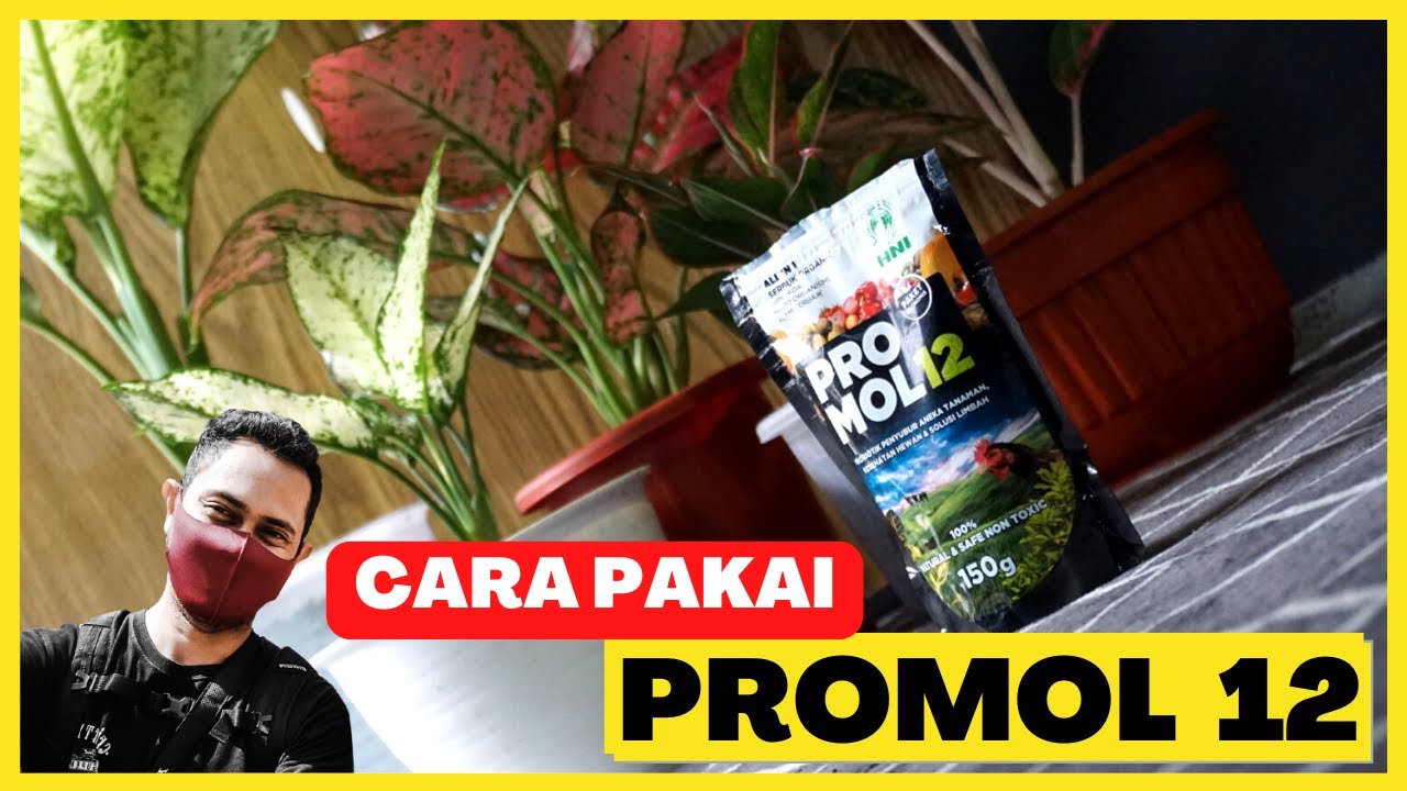 CARA PAKAI PROMOL 12 HNI UNTUK TANAMAN HIAS | PROMOL 12 HNI HPAI - YouTube