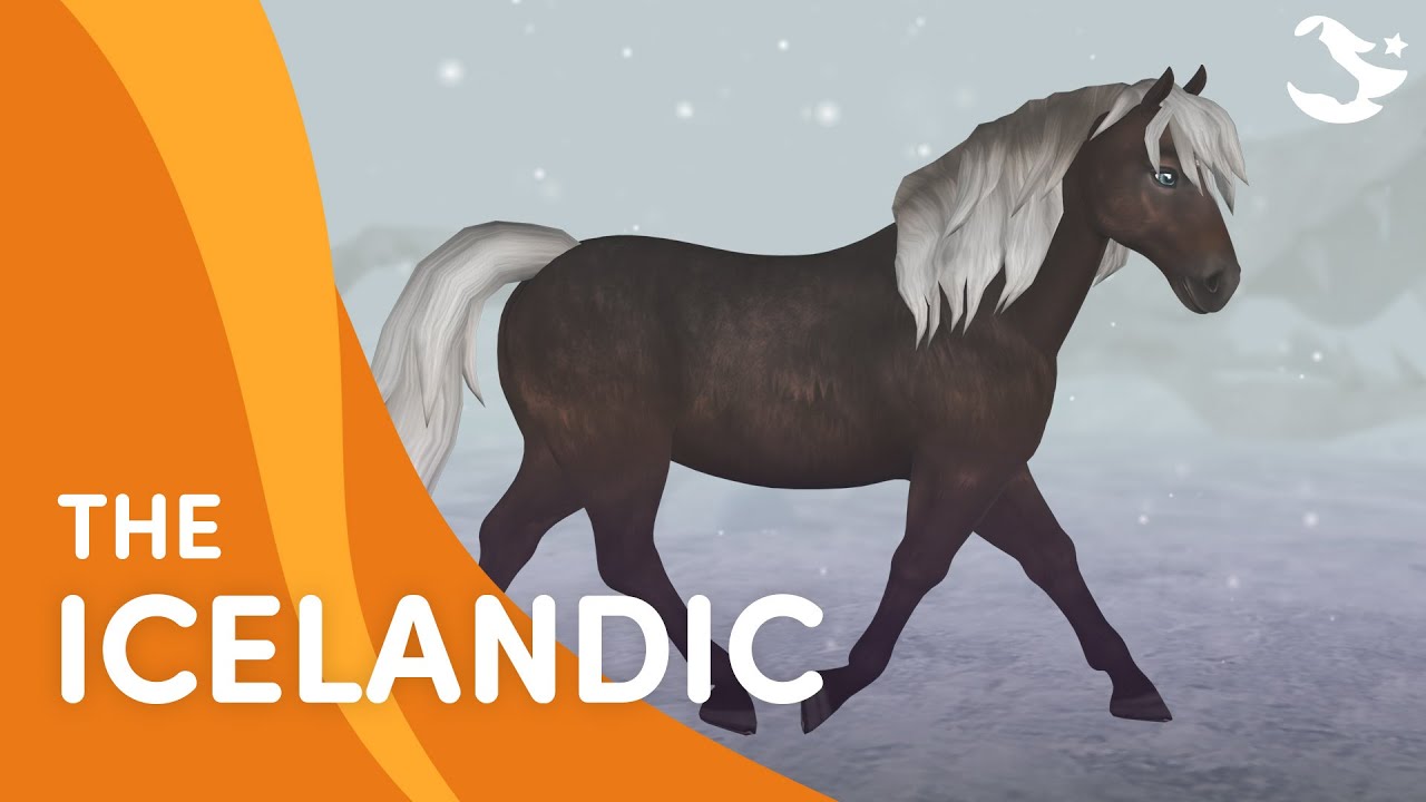 Meet the Icelandic Horse 🐎 ️ | Star Stable Breeds - YouTube