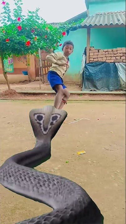 Anaconda snake in real life p5|#shots#snake#python#snacks#nagin# ...