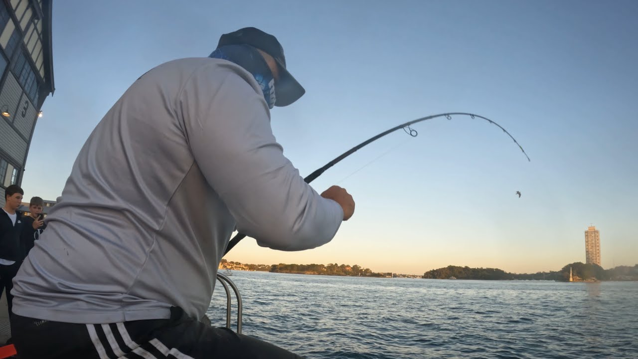 Pier 2 Kingfish makes reel scream - YouTube