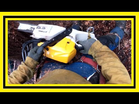ZEER SCHUINE BOOM VEILIG OMZAGEN (BORE CUT) - YouTube
