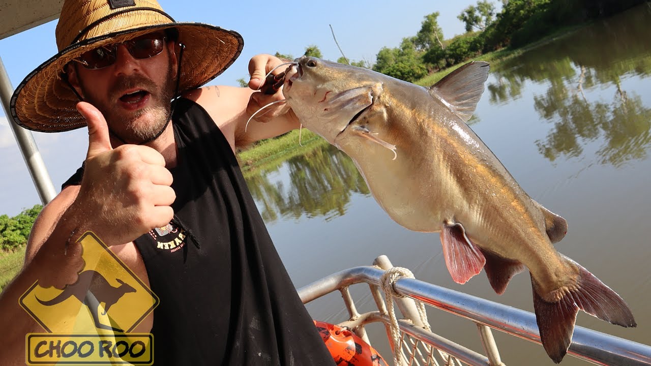 Catching Catfish in the NT - YouTube