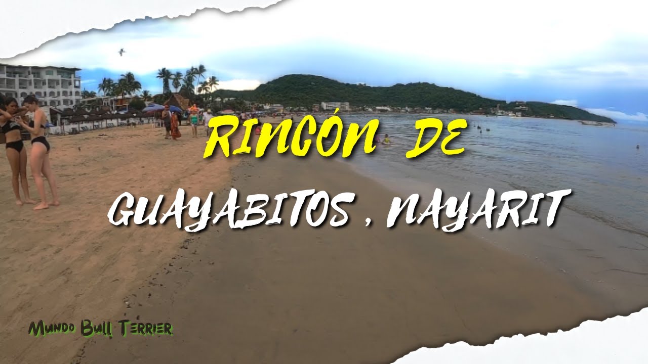 Rincón De Guayabitos , Nayarit México | Mundo Bull Terrier9518 - YouTube
