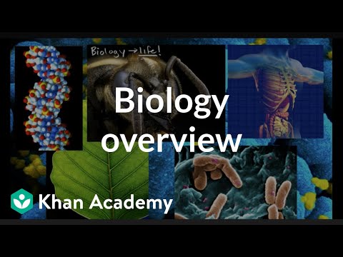 Biology Overview | Safe Videos for Kids