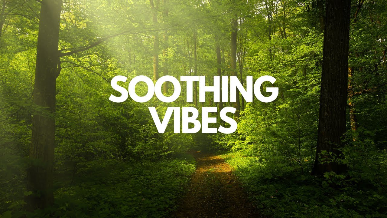 Soothing Vibes - study lofi - YouTube