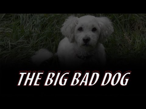 "The Big Bad Dog" - YouTube