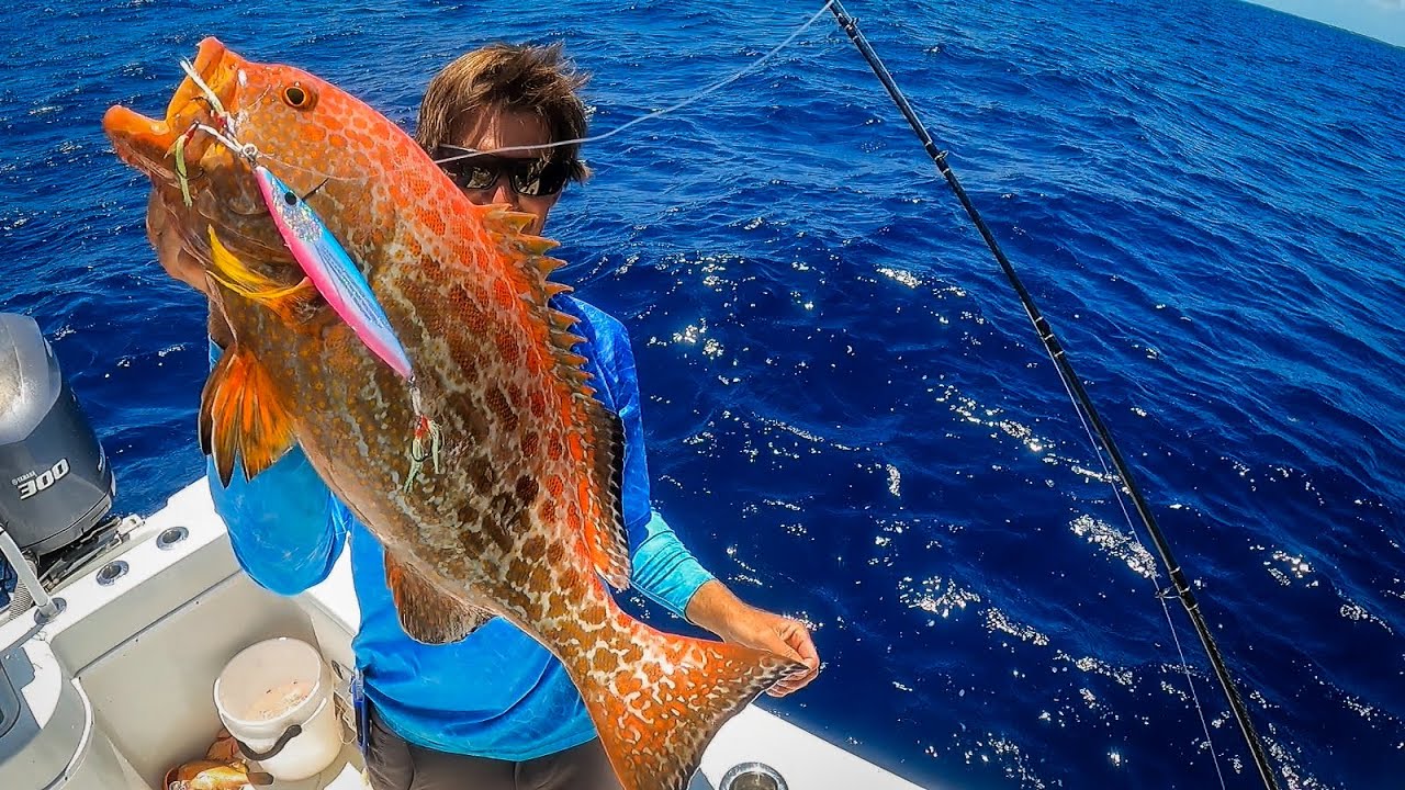 This Fish can turn Bright Red! - SPJ for Groupers - YouTube
