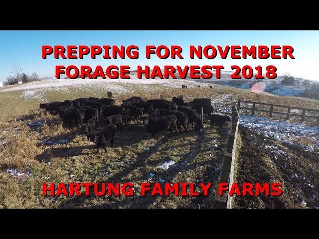 Prepping for November Forage Harvest 2018 | Hartung Family Farms | The ...