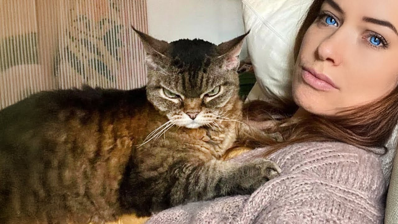 The Most Dramatic Cat Ever 😂 You Won’t Believe This! - YouTube