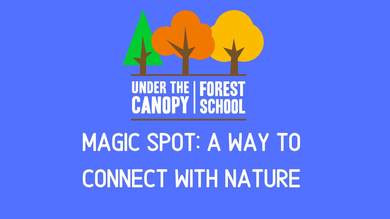 Magic Spot: how to notice nature - YouTube
