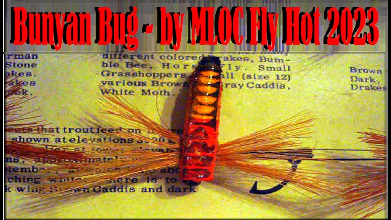 Video 333: Bunyan Bug - YouTube