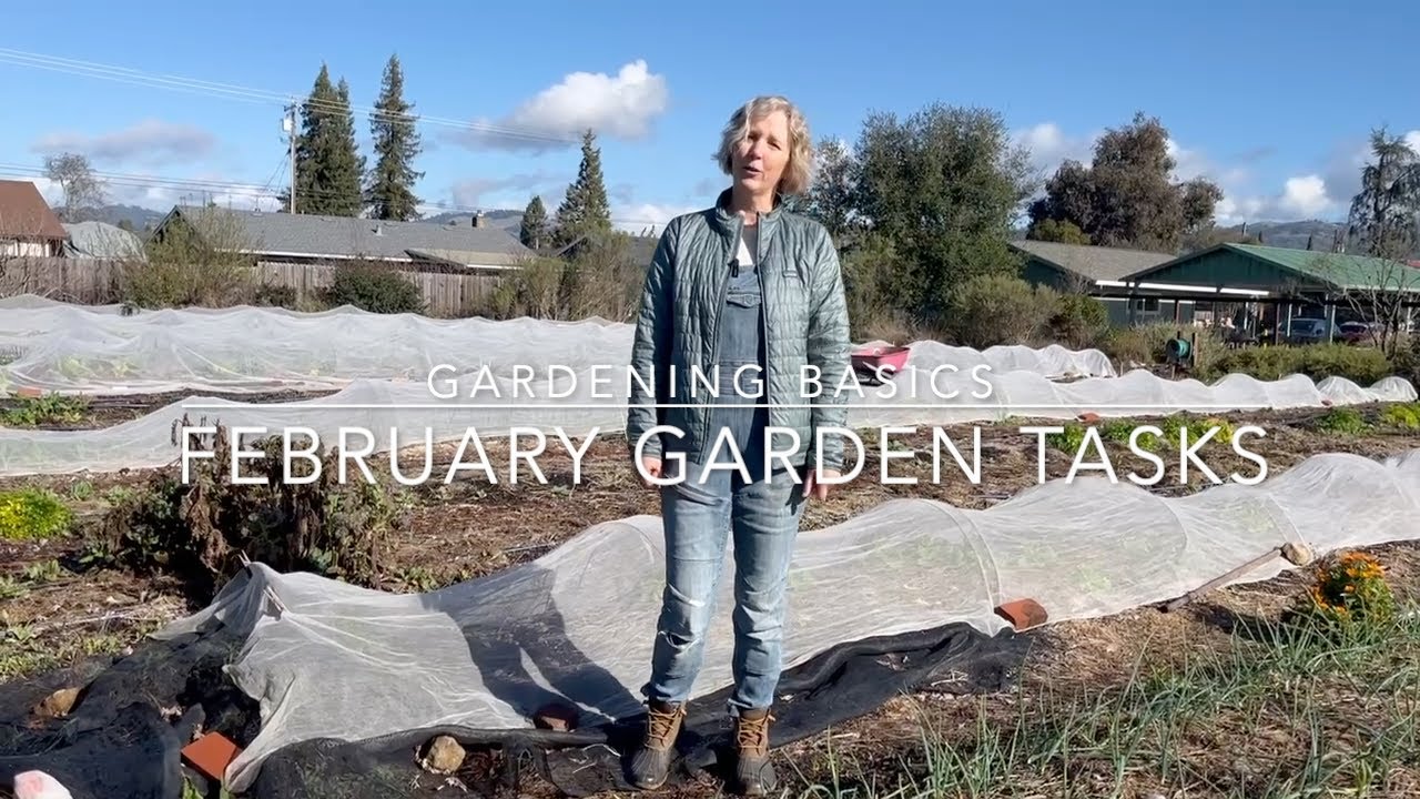 February Garden Tasks - HD 720p.mov - YouTube