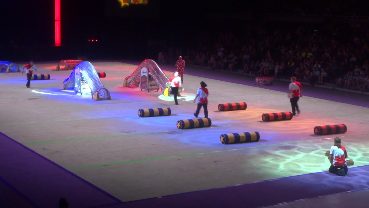 Dog Racing During The Superdog Show @ PNE On August 25, 2017 - YouTube