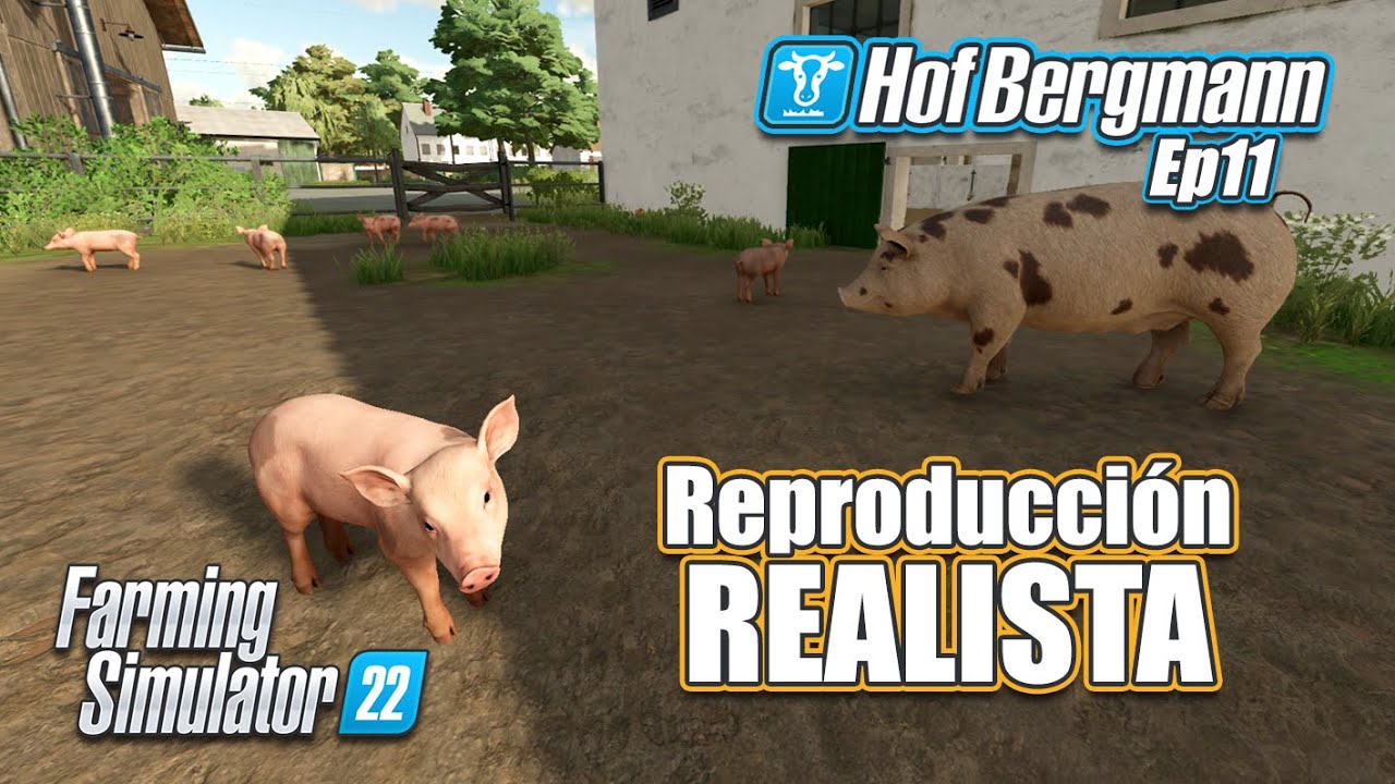 HOF BERGMANN 🎣 Al fin tenemos SEASONS ANIMAL en Hof Bergmann - FARMING ...
