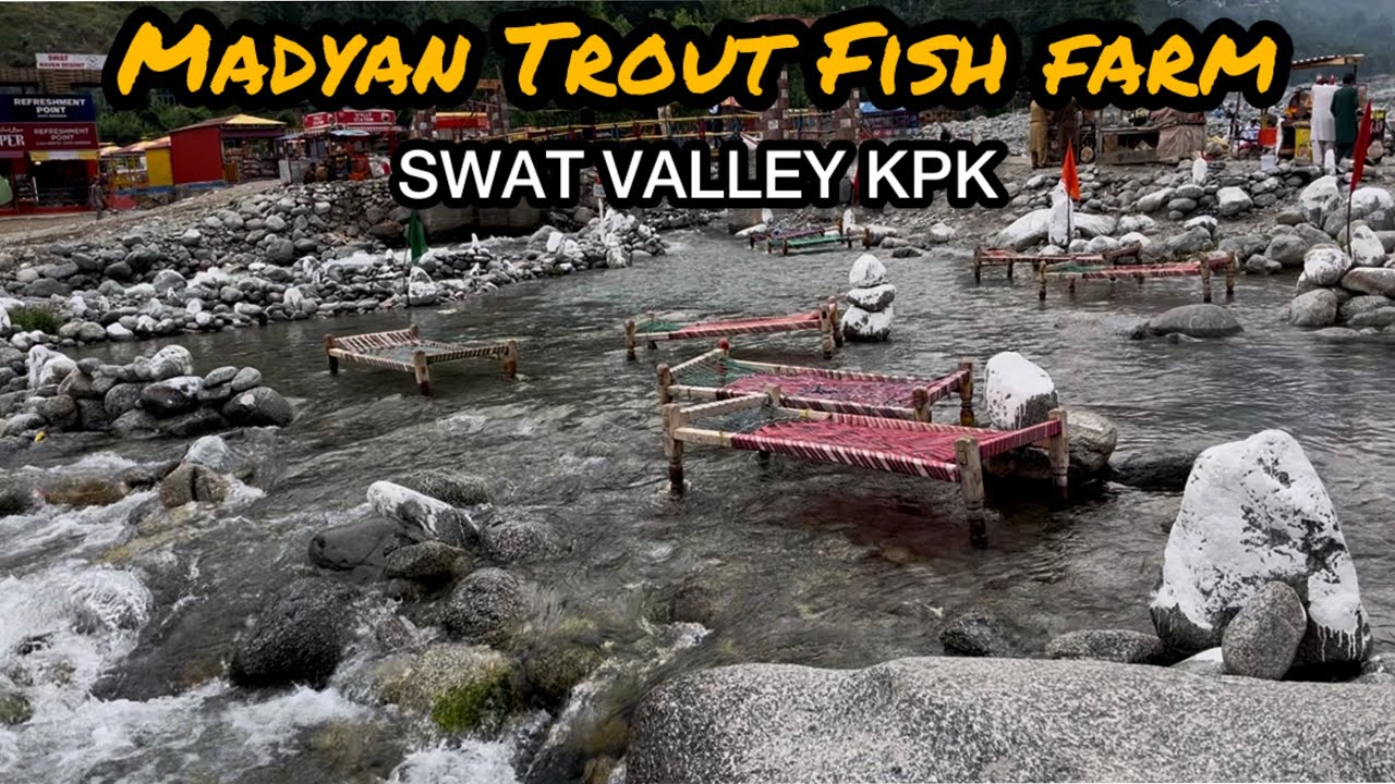 Madyan Trout Fish Farm Tour | Hidden Gem of Swat Valley - YouTube