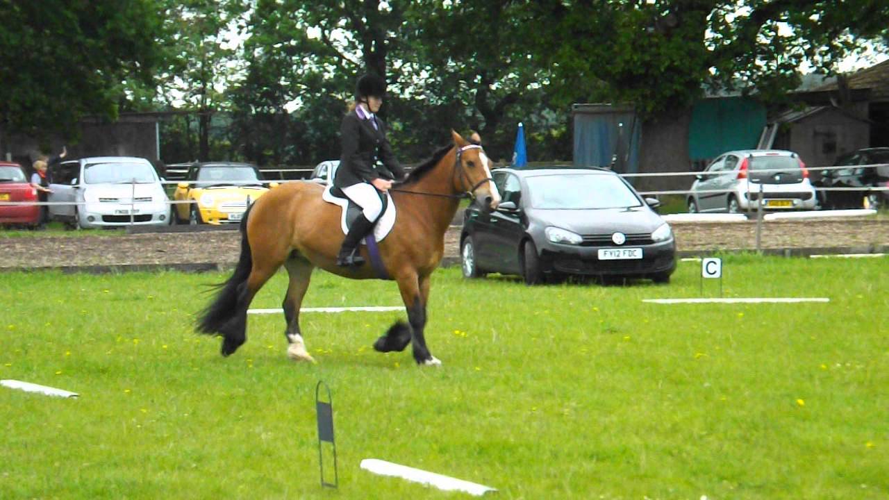 Ebay - BD intro B (2009) - 53% - YouTube