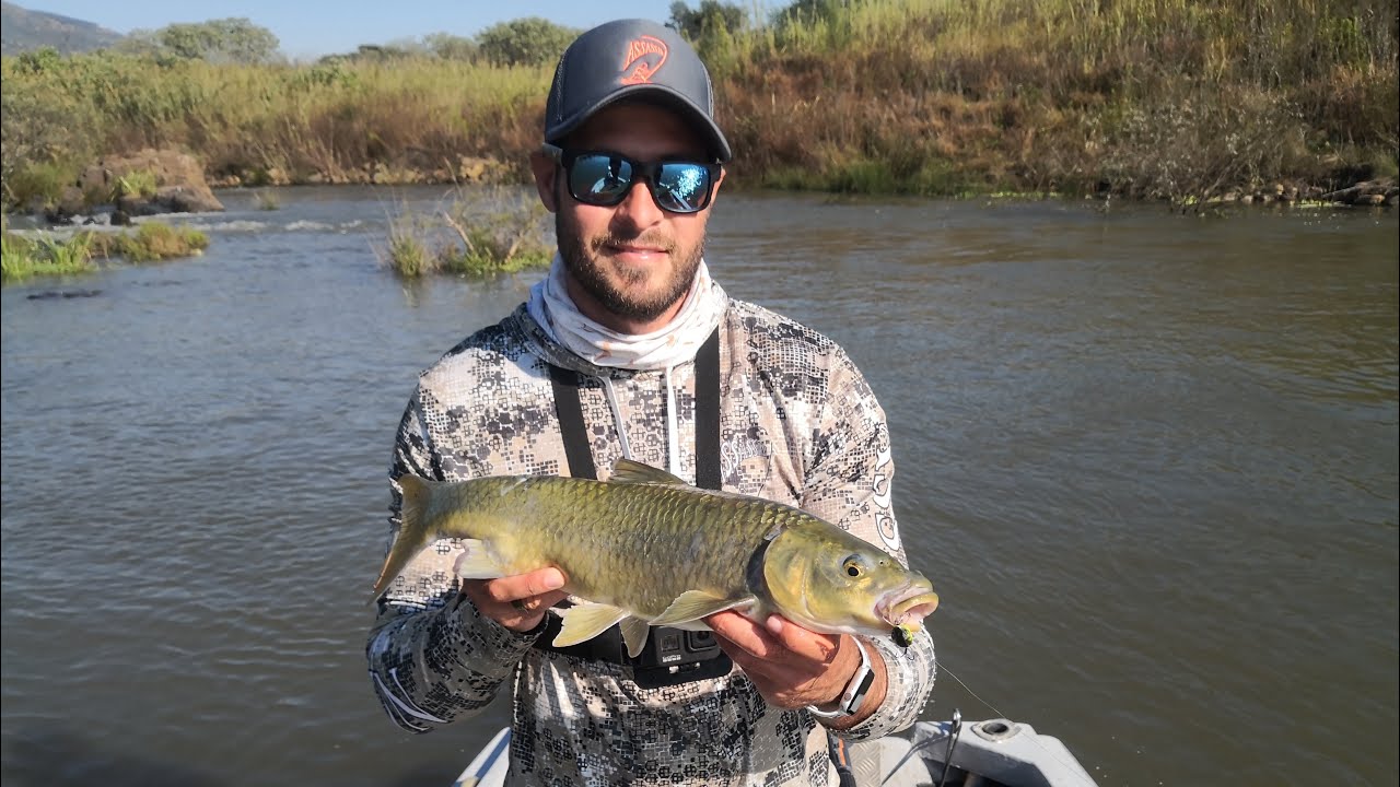 Natal Yellowfish fishing at Albert Falls, South Africa. - YouTube