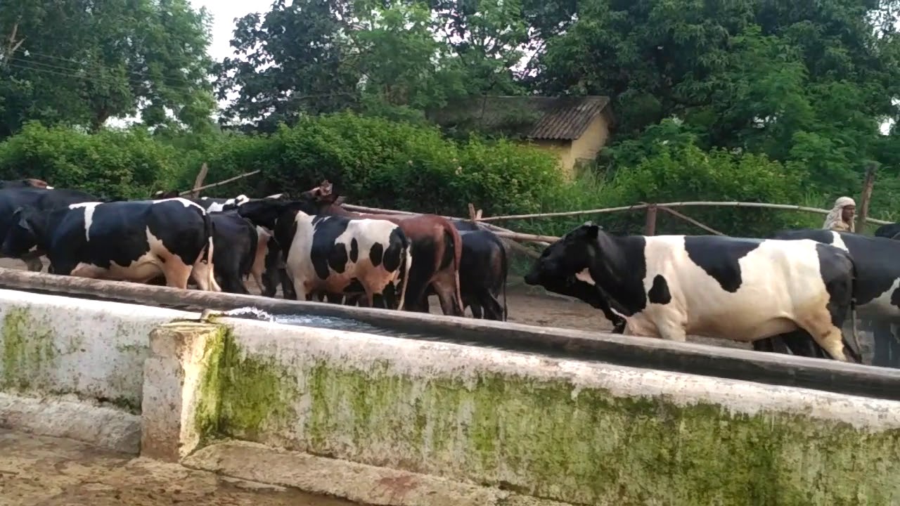 Namkum Military Farm,Ranchi - YouTube