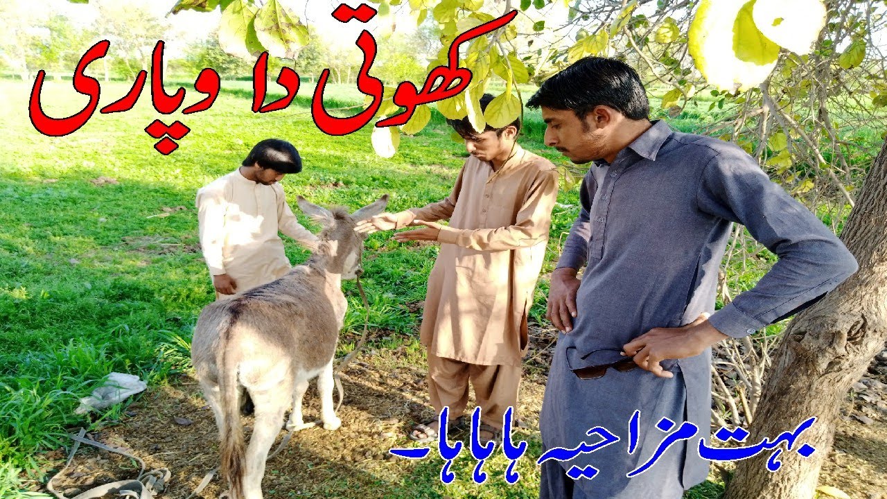 New Saraiki Funny Video 2020 Khoti Da Wapari Shurli,Phooti New Video ...