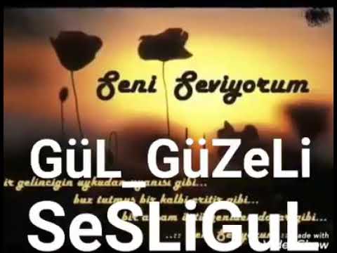 On deyin gelsin SeSLiGuL