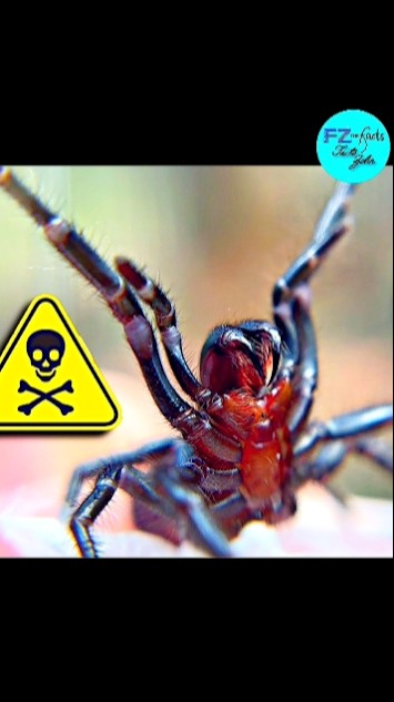 Have you seen Just a normal insect living our environment***#fact# ...