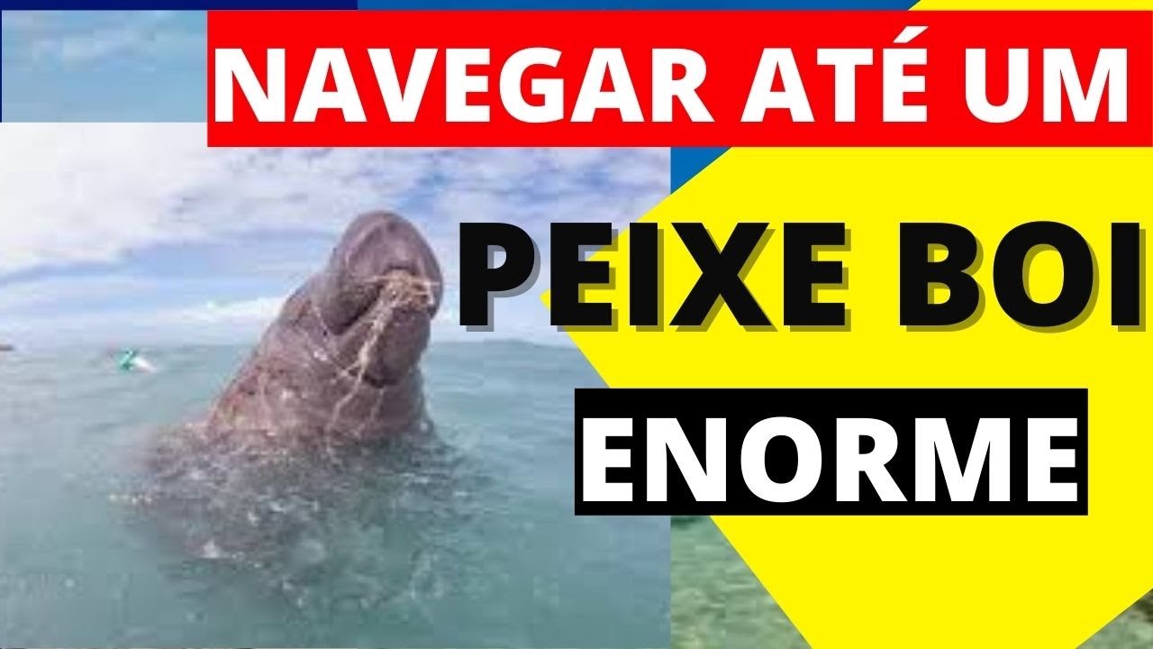 NAVEGANDO PELO MAR ATÉ A PRAIA DO PEIXE BOI, PRAIAS NORDESTE BRAZIL ...