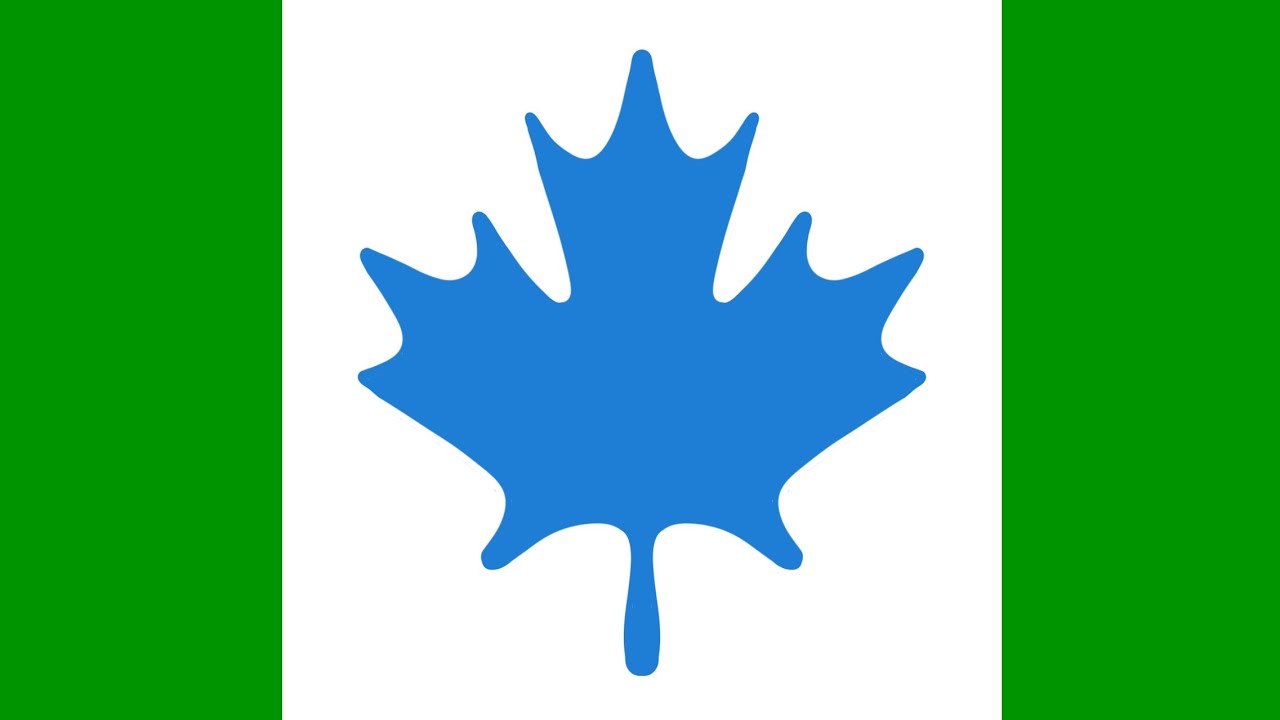 NEW TORONTO FLAG - YouTube