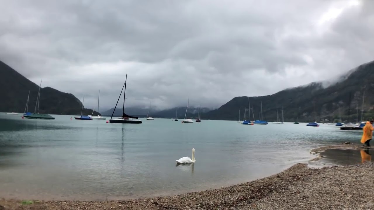 Travel with Master | Mirzakarim Norbekov | the Final video from a trip ...