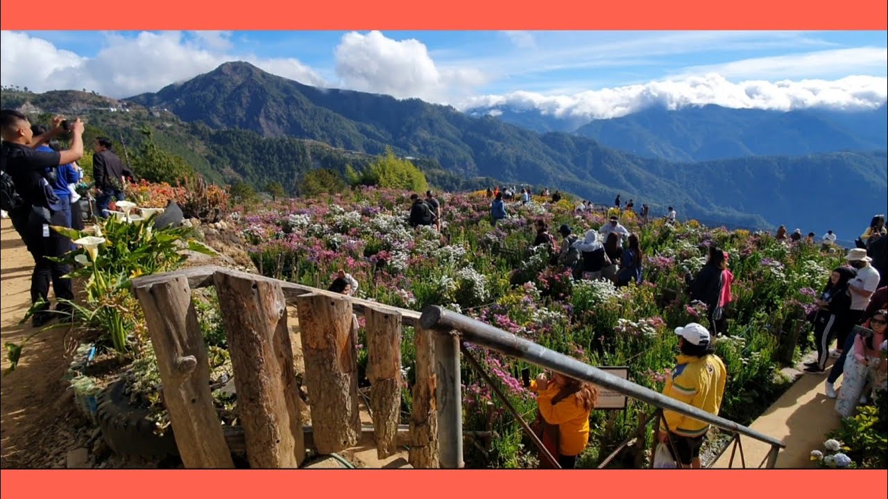 Flower Farm Tour 🌼 Northern Blossom Flower Farm Atok, Benguet 🌸 - YouTube