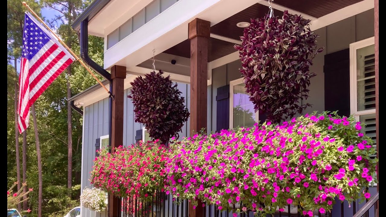 Supertunia Window Boxes Week 13 Update - YouTube