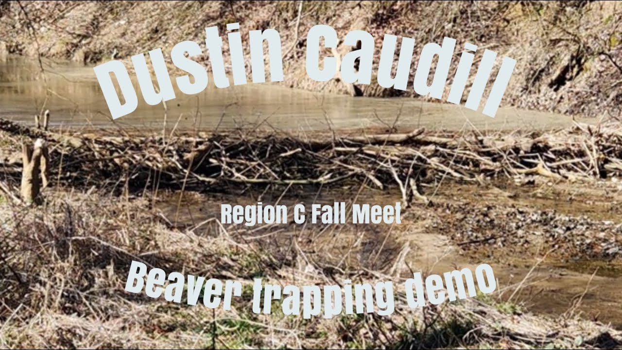 Dustin Caudill Beaver demo 2024 - YouTube