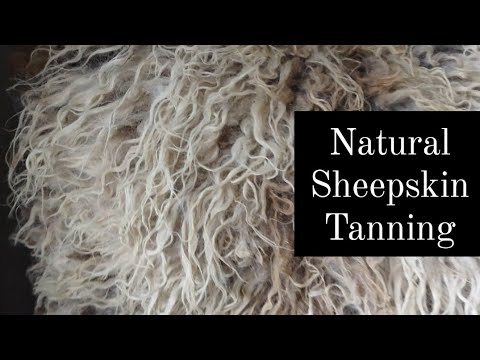 Natural SHEEPSKIN Tanning - YouTube