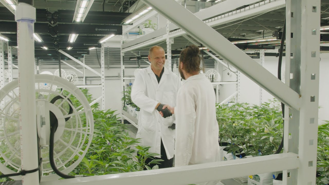 The Plantsman Commercial Full Length - YouTube