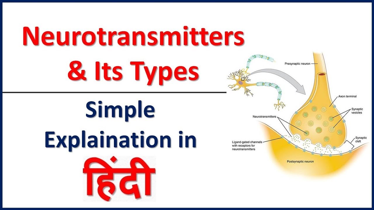 Neurotransmitter and Its Types Simple explaination in hindi | Bhushan ...