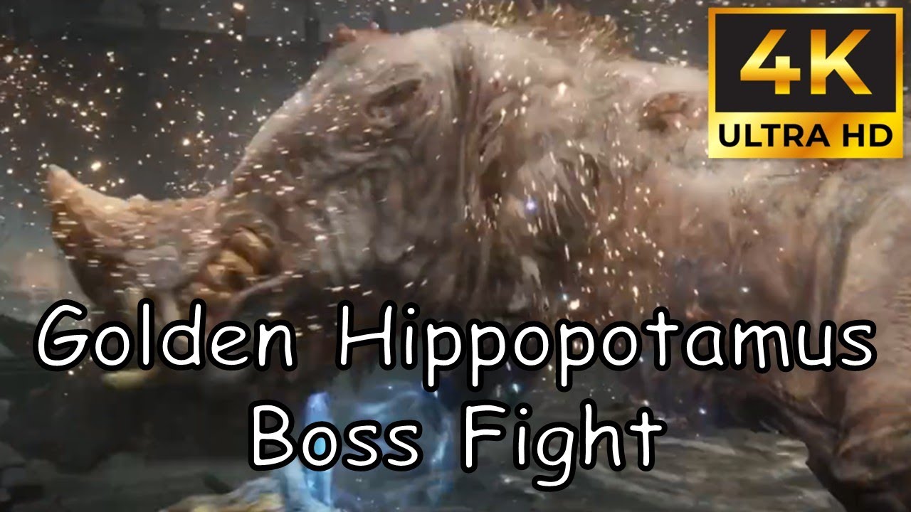 Golden Hippopotamus Boss Fight (Elden Ring) - YouTube