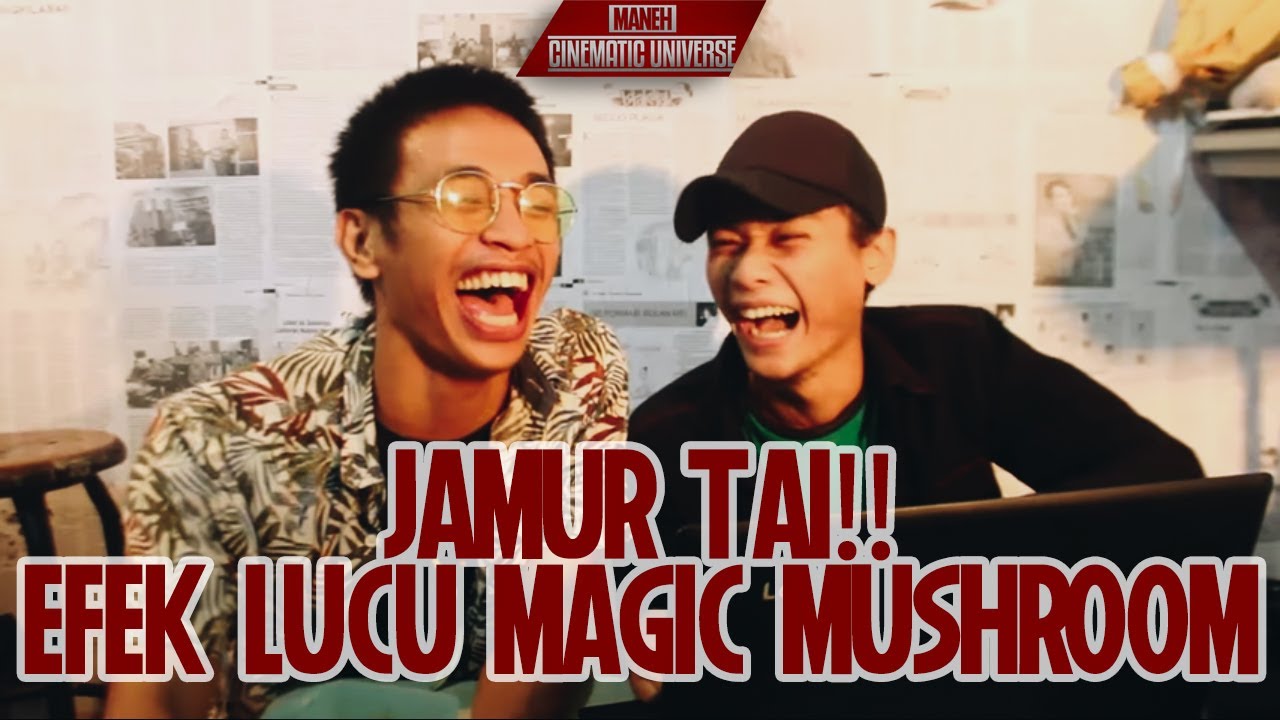 Efek lucu Magic Mashroom | Jamur Tai | @hilmi_zein dan @riki.dm - YouTube