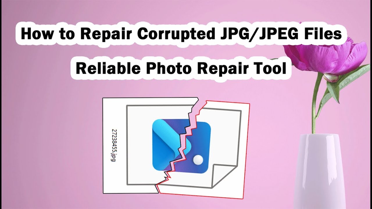 How to Repair Corrupted JPG/JPEG Files | Reliable Photo Repair Tool ...