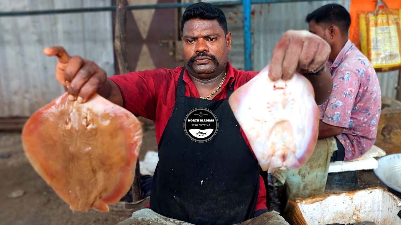 🔥THIRUKAI MEEN |KASIMEDU EXPERT FISH CUTTER |SPEED SELVAM |CUTTING ...