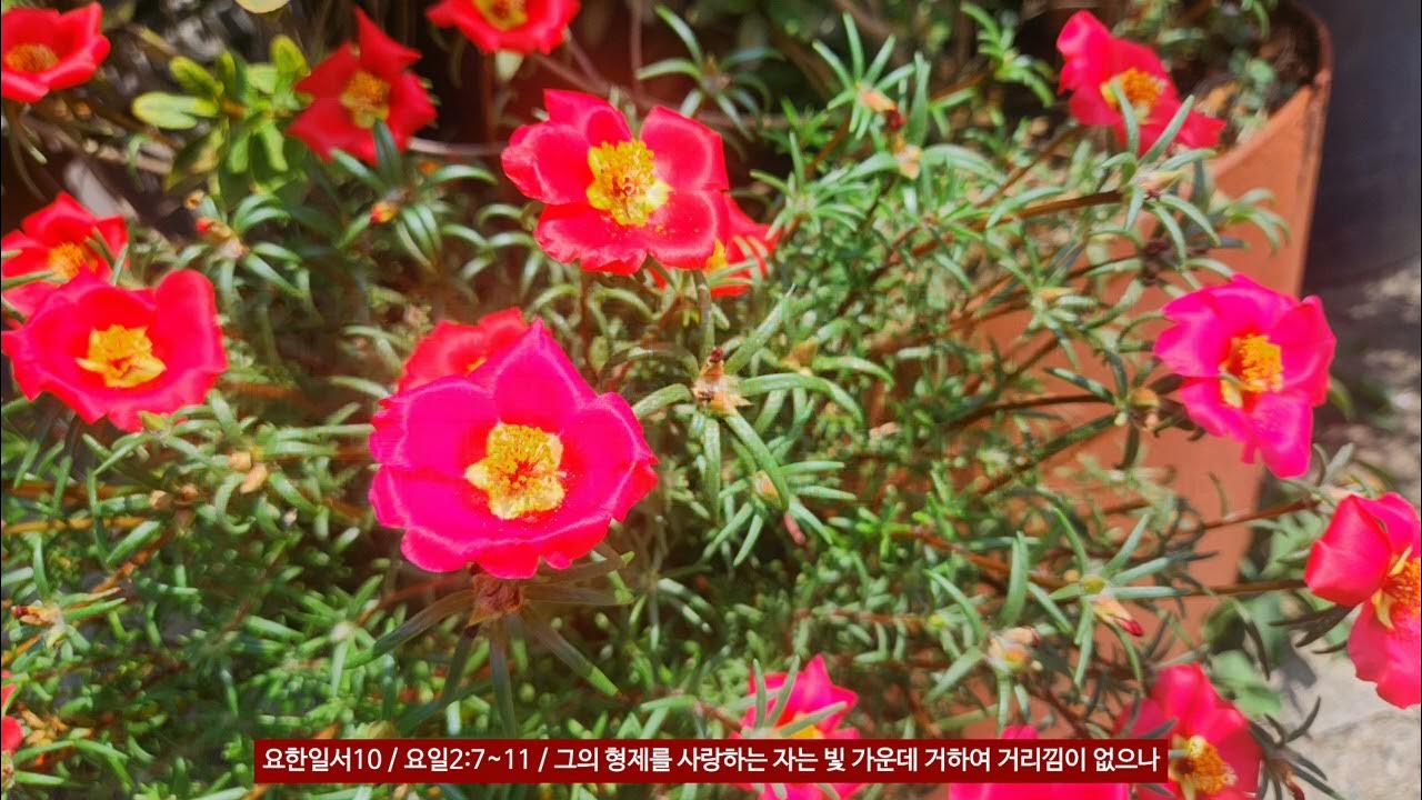 요한일서10 요일2 7~11 그의 형제를 사랑하는 자는 빛 가운데 거하여 거리낌이 없으나 Youtube