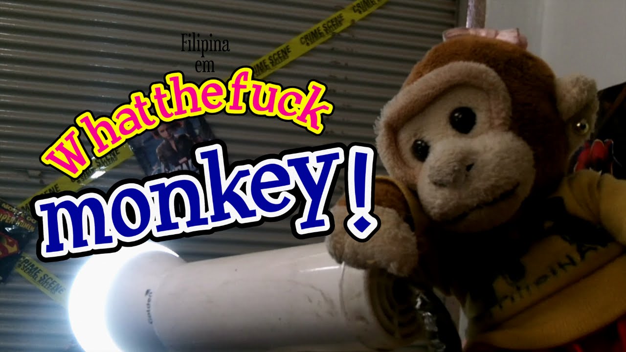 WTF MONKEY! - YouTube