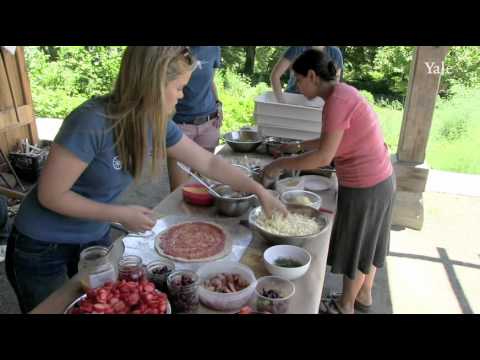 The Yale Farm - Yale Sustainable Food Project - YouTube