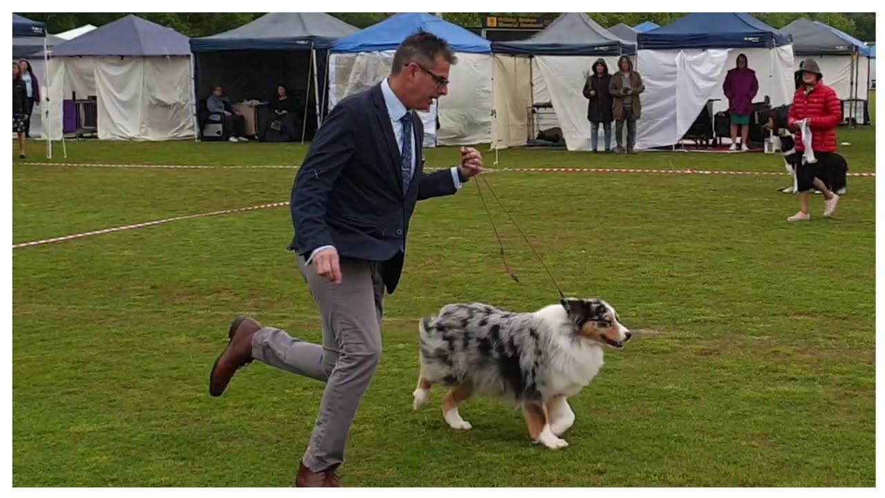 2022 Kyneton Ag Show - Group 5 Best & Classes - YouTube