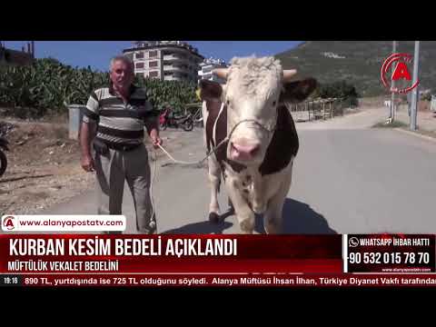 KURBAN KESİM BEDELİ AÇIKLANDI