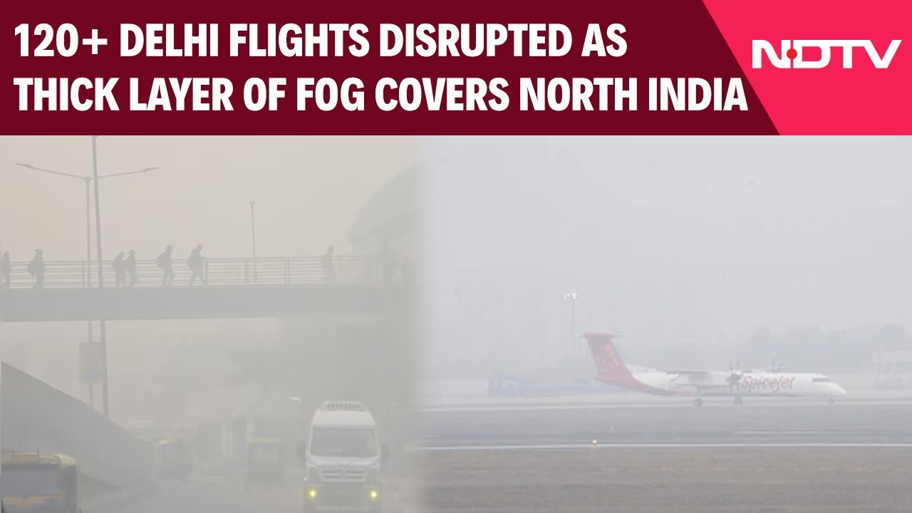 Fog Across North India | 120+ Delhi Flights Disrupted As Thick Layer Of ...