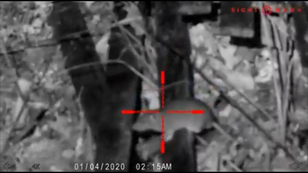 MV Night Vision Rodent Control - #3 - YouTube