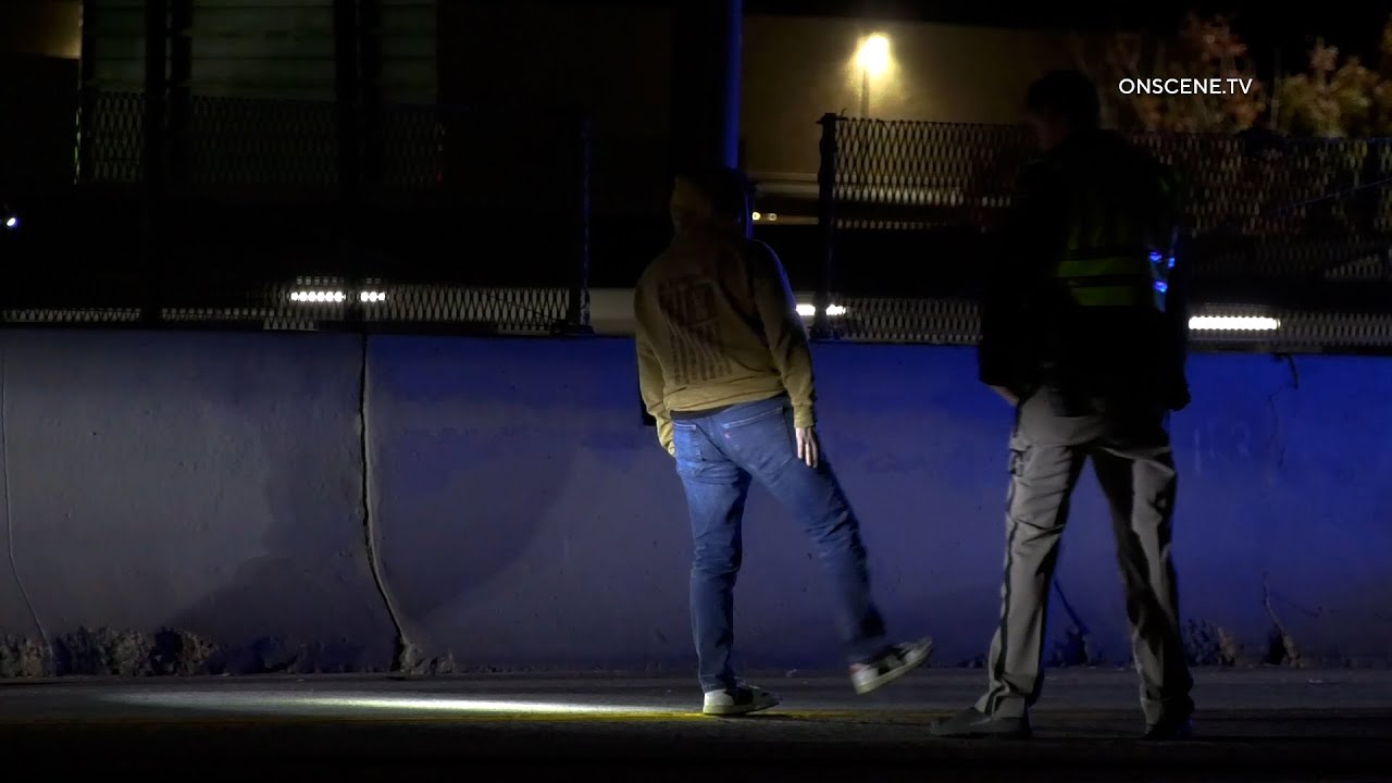 Wrong Way Driver Too Drunk To Walk A Straight Line - YouTube